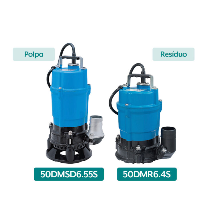 Bomba Submersível EBARA DMS – Access Bombas